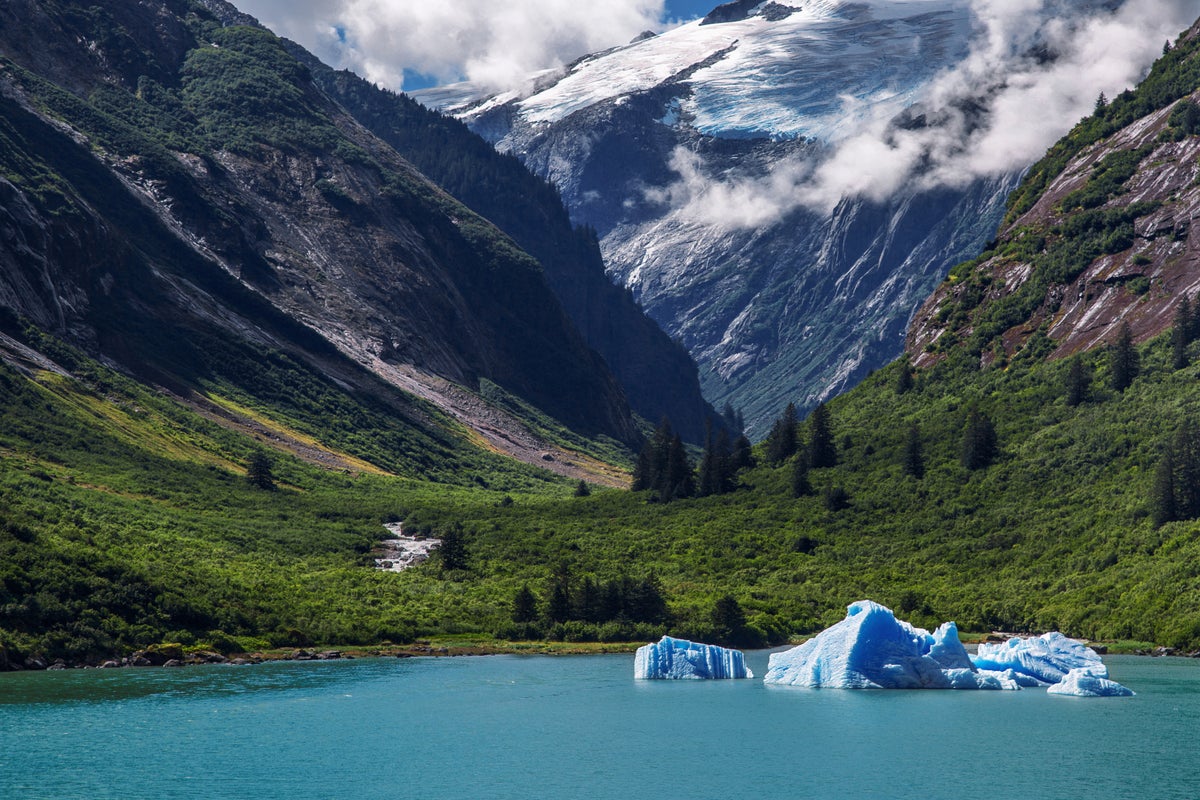 Experts Dispute Trump Administration's Rationale for Alaska Logging ...
