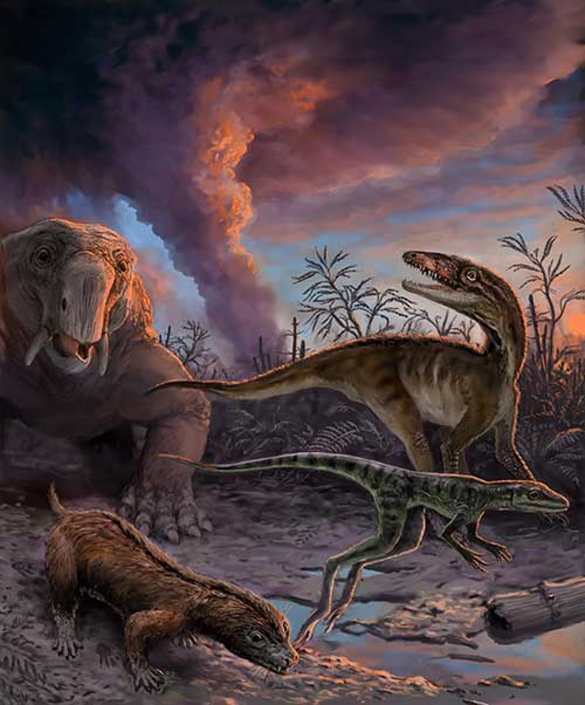 Dinosaurs Evolved in a Startlingly Short Time | Scientific American