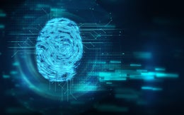 The Data In Your Fingerprints Scientific American