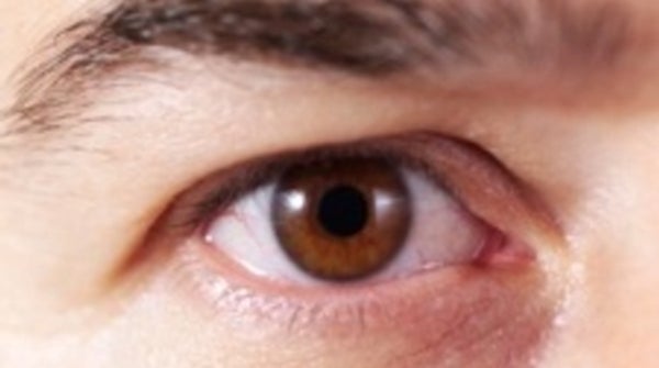 Spooky Eyes: Using Human Volunteers to Witness Quantum Entanglement ...