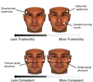 Your Facial Bone Structure Has A Big Influence On How People See You 