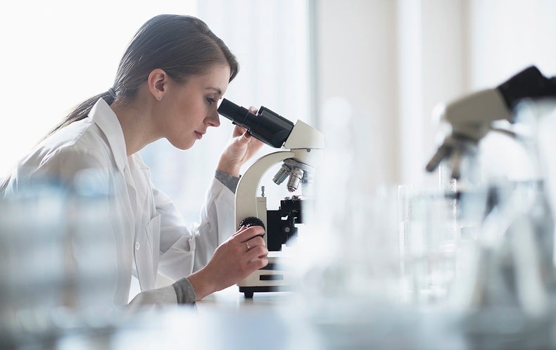 U.K. Gender-Equality Program Spreads across the World - Scientific American