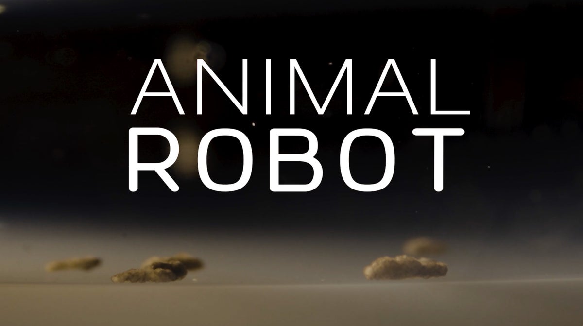 These Researchers Used AI to Design a Completely New 'Animal Robot ...
