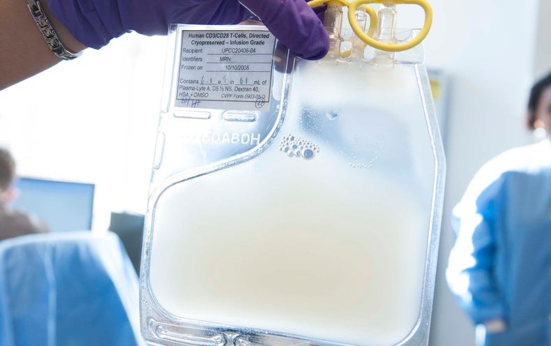 How Close Are We to a Lifelong Cure for Cancer? - Scientific American