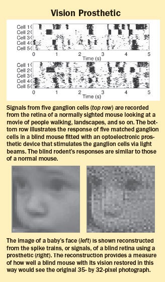 Image 3 - Scientific American