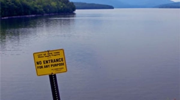 Want Clean Water? Turn on the Lights - Scientific American