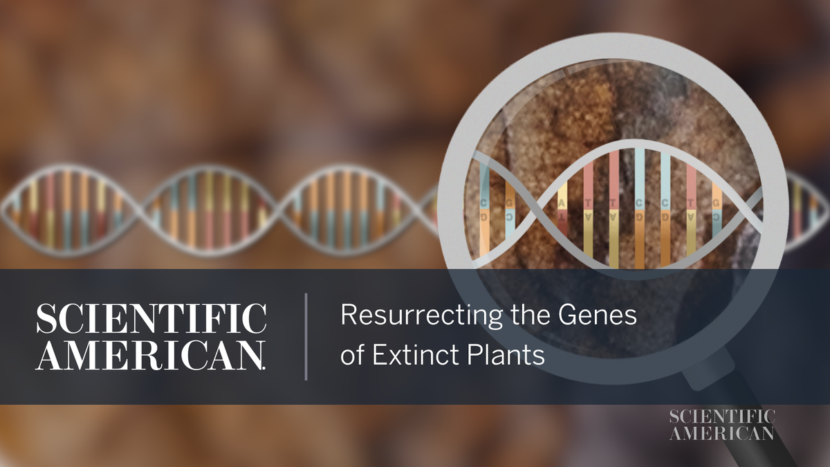 Resurrecting the Genes of Extinct Plants | Scientific American