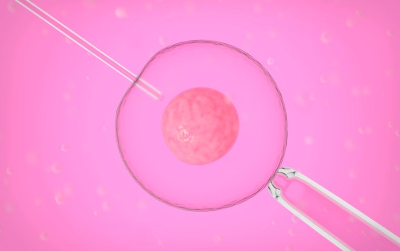 U.K. Scientists Find New 3-Parent IVF Technique Safe in Lab ...