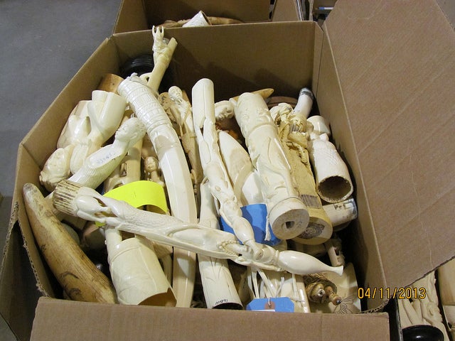 Illegal Ivory Set To Be Crushed In Times Square Scientific American