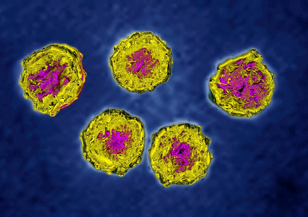 Getting Closer to Eliminating the Wild Poliovirus | Scientific American