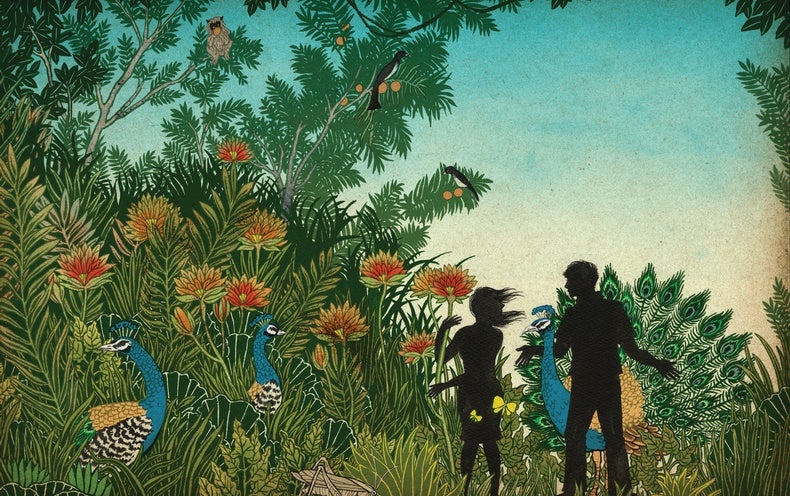 Promiscuous Men, Chaste Women and Other Gender Myths - Scientific American