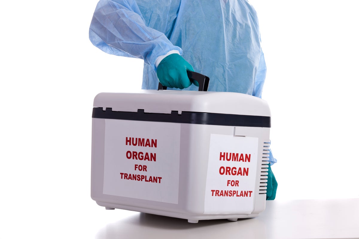 Egypt Says It Has Busted Up Large Organ Trading Racket | Scientific ...