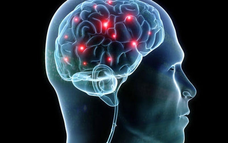 When Does Your Intelligence Peak? - Scientific American