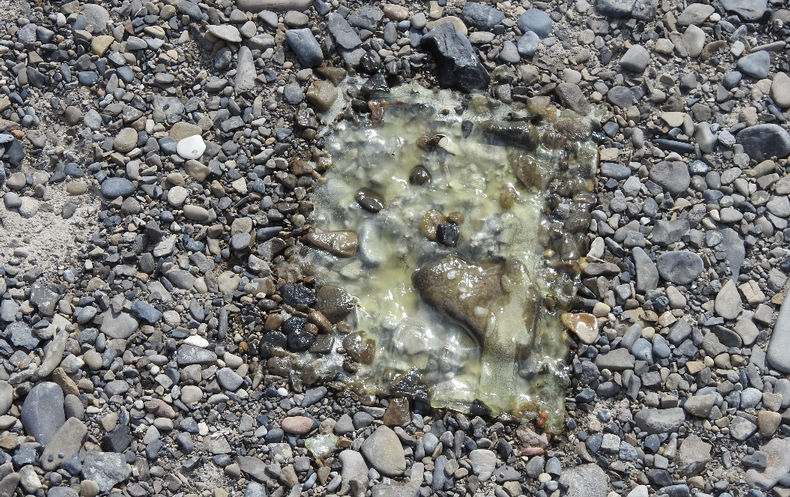 Disappearing Plastics Stay Strong in the Shadows and Melt Away in the ...