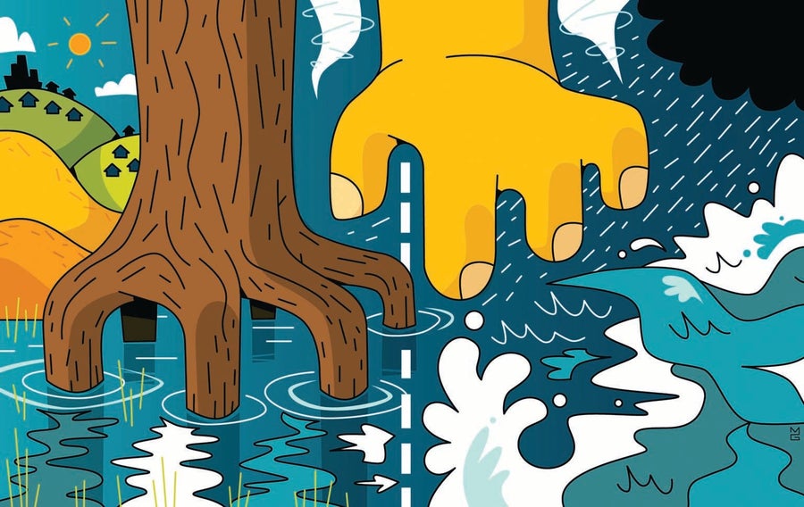 Use Nature as Infrastructure | Scientific American