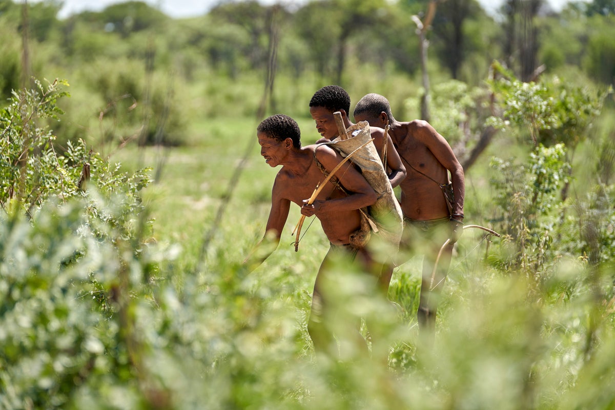 Lush Okavango Delta Pinpointed as Ancestral Homeland of All Living ...