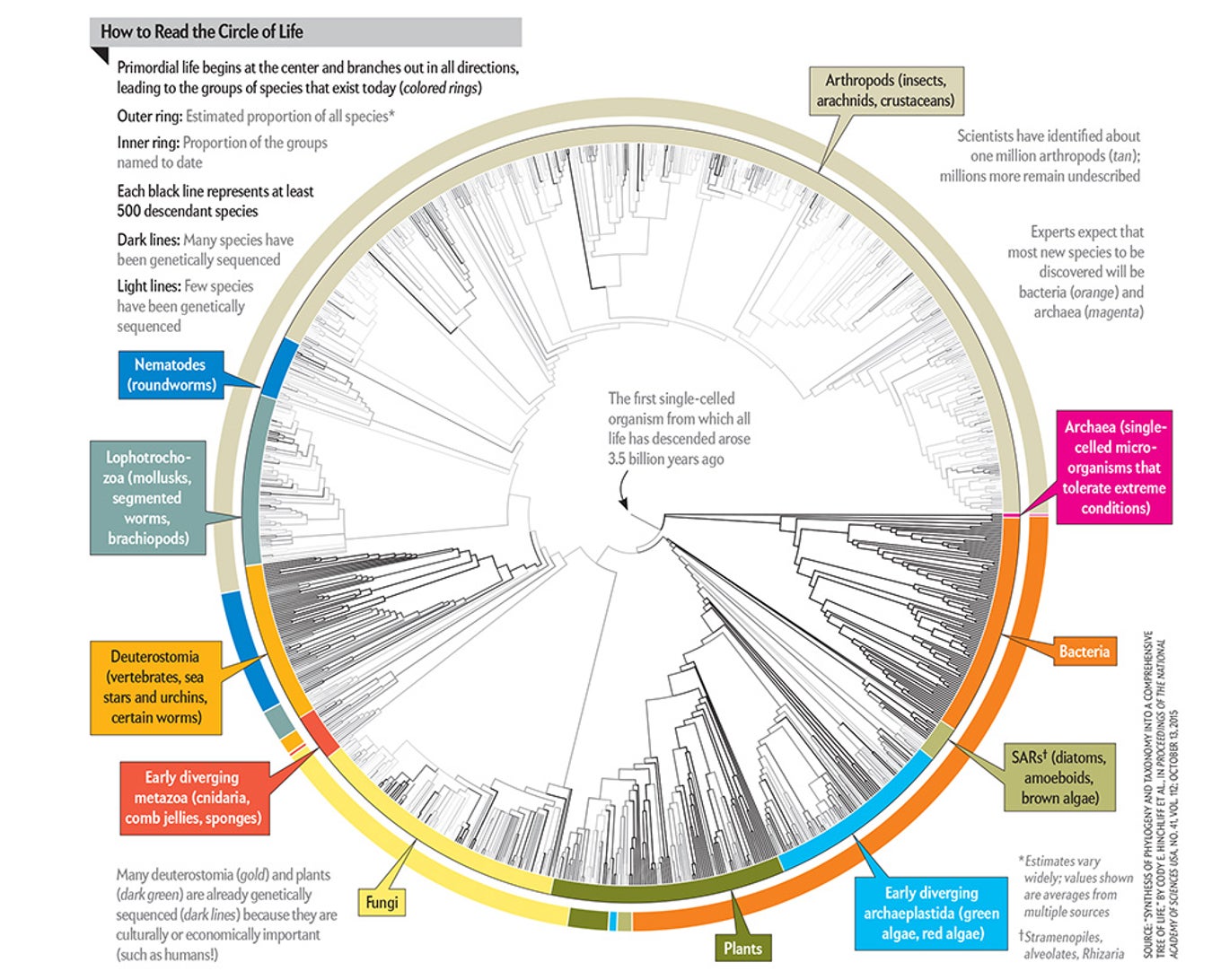 All 2.3 Million Species Are Mapped into a Single Circle of Life ...