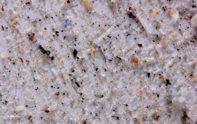 Thousands of Tons of Microplastics Are Falling from the Sky ...