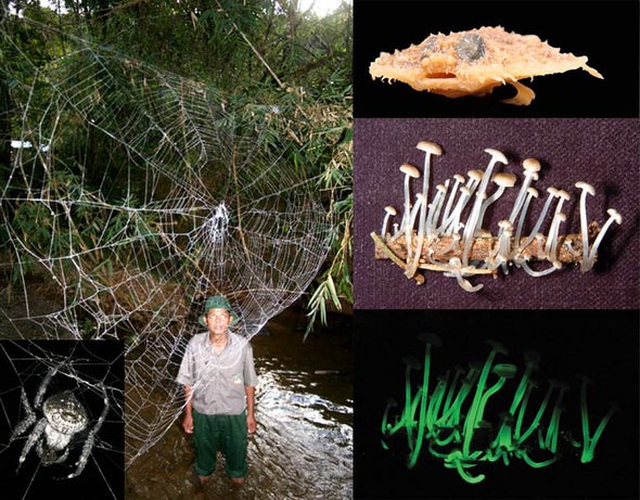 Top 10 Newly Discovered Species Include 6-Foot-Long Lizard and Glowing ... Top 10 Newly Discovered Species Include 6-Foot-Long Lizard and Glowing ...