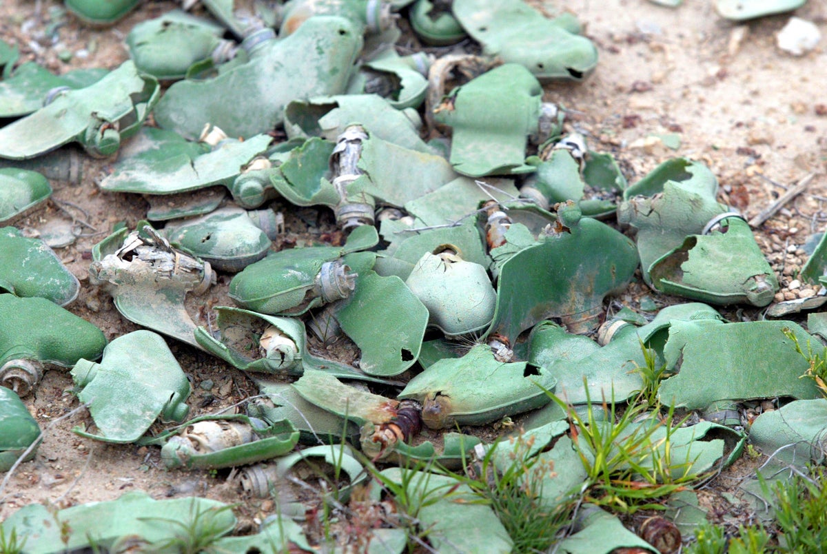 Drones Used to Find Toylike "Butterfly" Land Mines | Scientific American