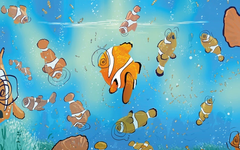 Increasingly Acidic Oceans Are Causing Fish to Behave Badly ...