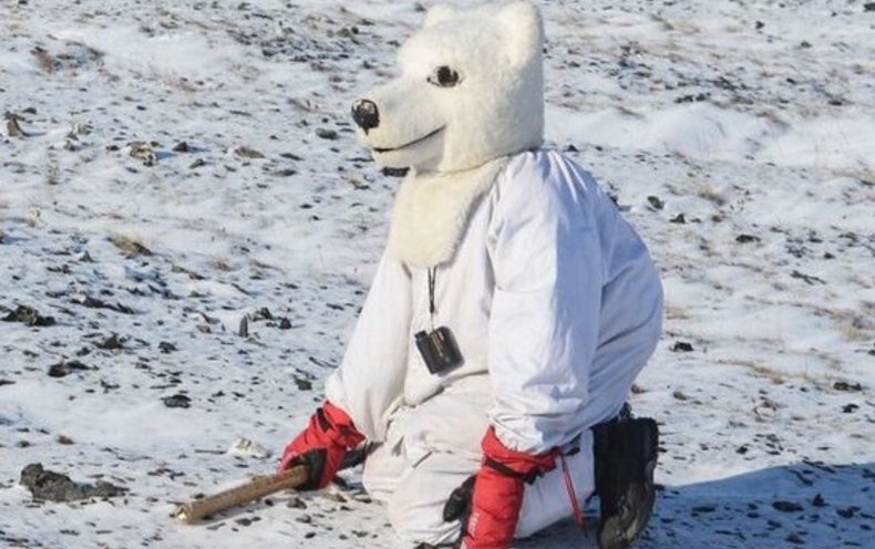 Arctic Researcher Bears Up for Science - Scientific American