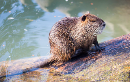 Stories by Steve Mirsky | Scientific American