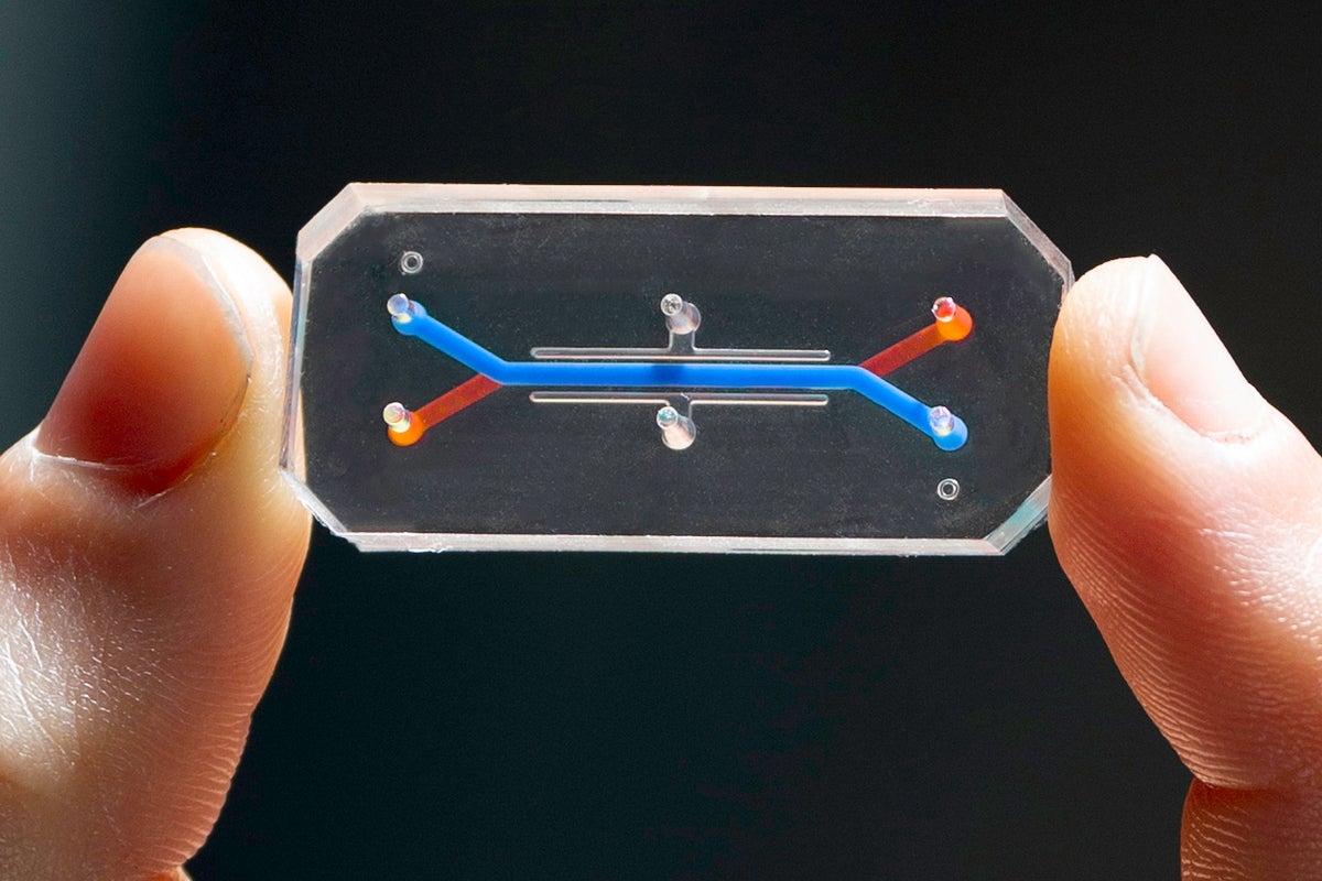 First 'Vagina-on-a-Chip' Will Help Researchers Test Drugs | Scientific ...