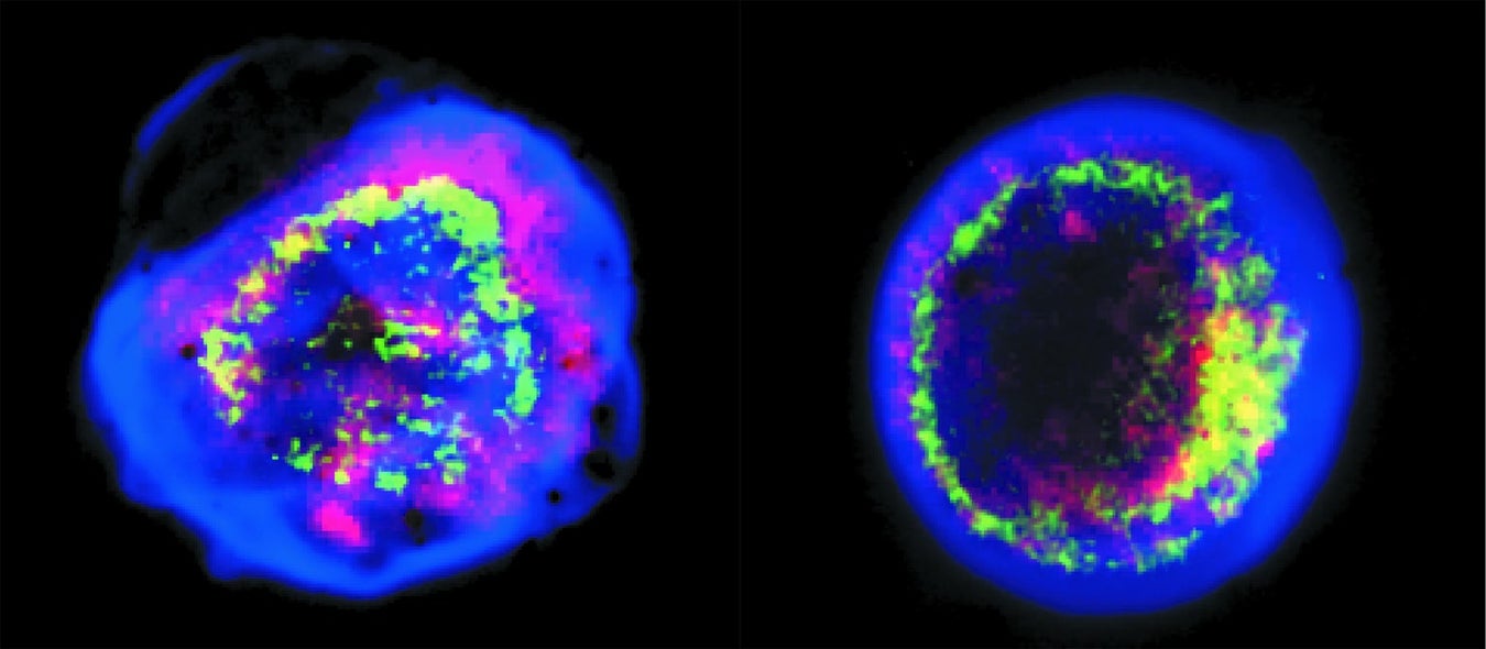 Mapping the Remains of Supernovae | Scientific American