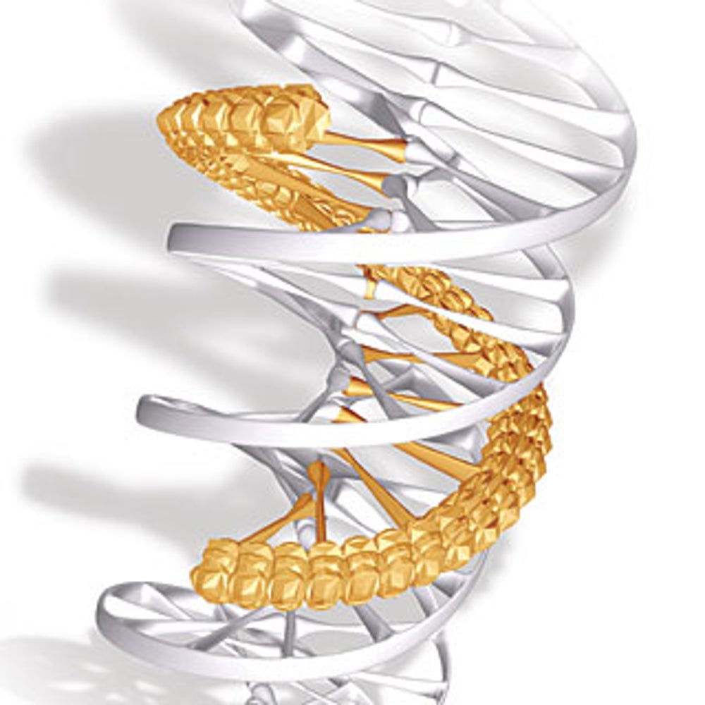 Triple Helix: Designing a New Molecule of Life | Scientific American