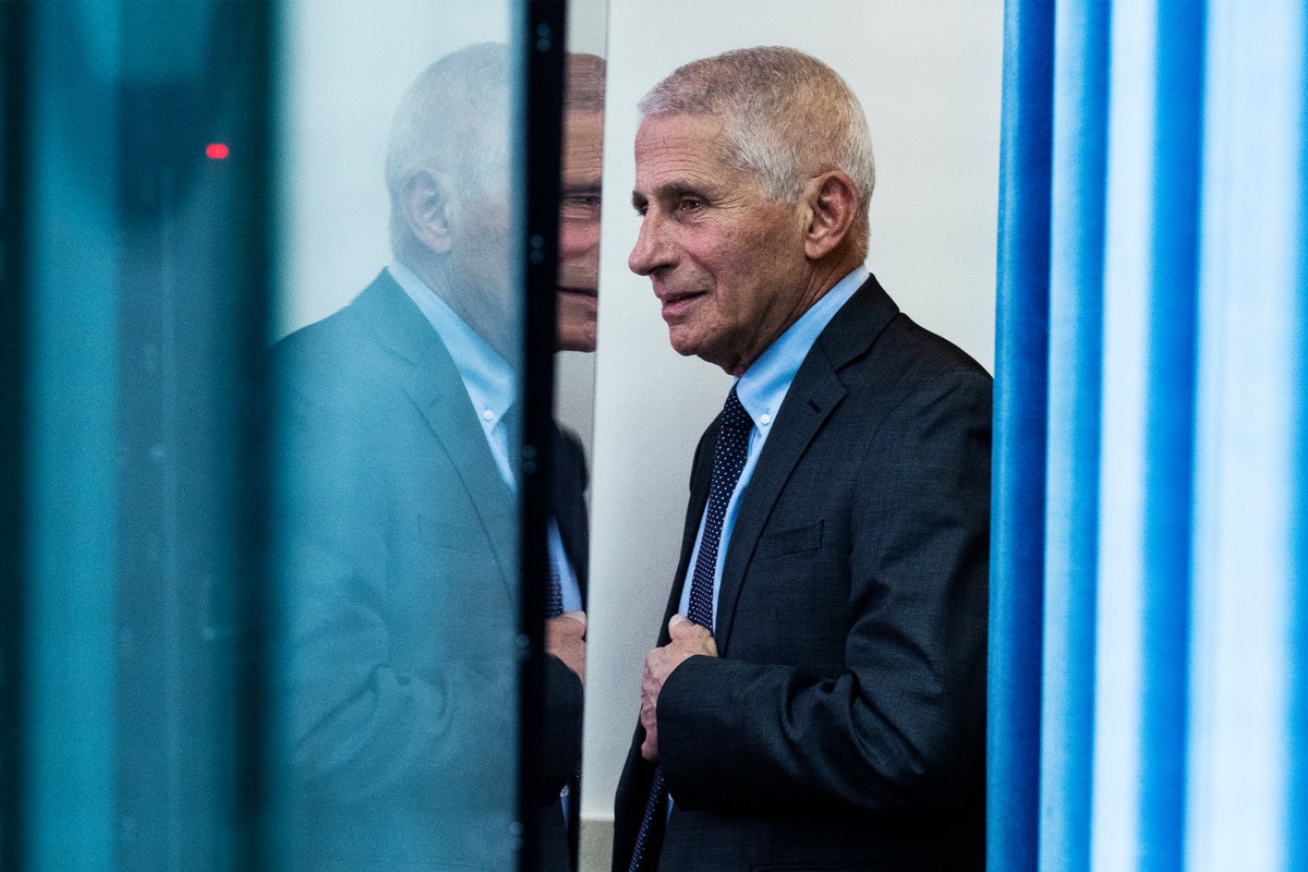 Kids (and Animals) Who Fail Classic Mirror Tests May Still Have Sense ...