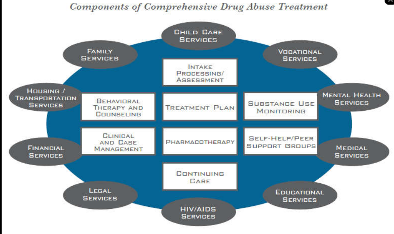 Standard Treatments for Drug Addiction | Scientific American