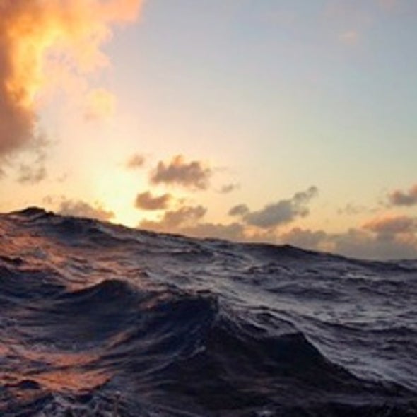Oceans Turn More Acidic Than Last 800,000 Years - Scientific American
