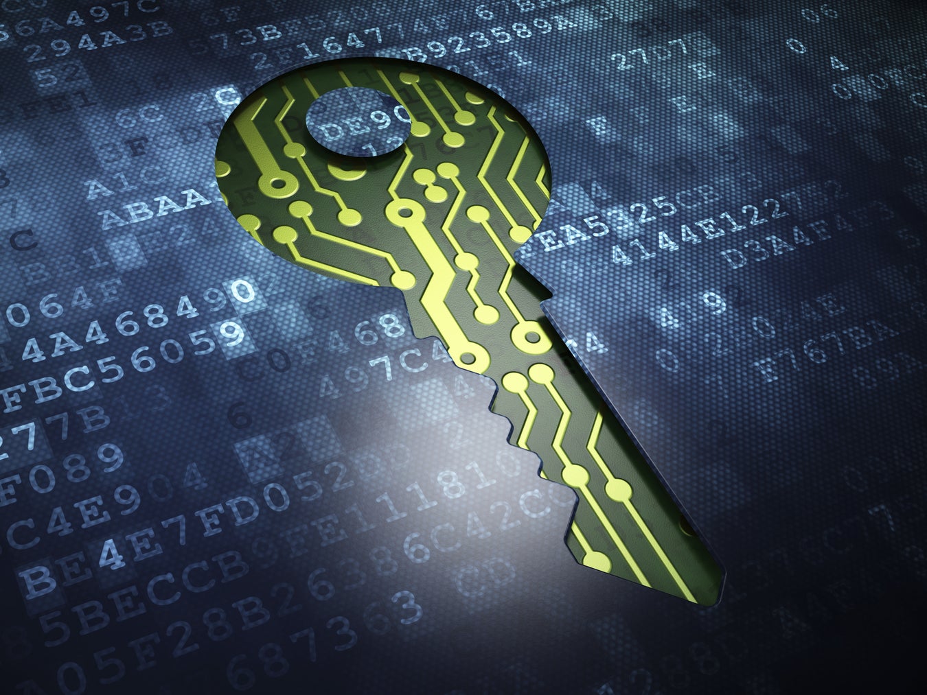 Insulin Pump Vulnerable to Hacking | Scientific American