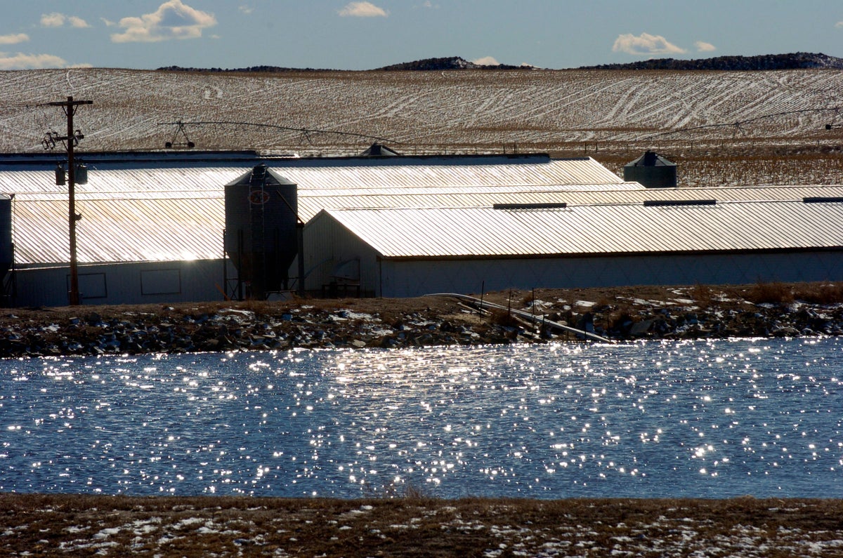 Gas Companies Want to Recycle Your Manure | Scientific American