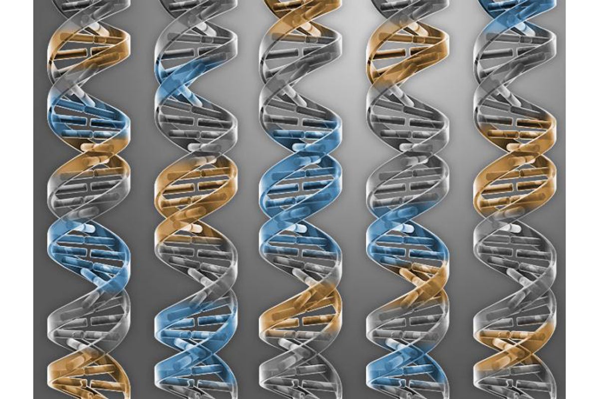 Scientists Synthesize Bacteria with Smallest Genome Yet | Scientific ...