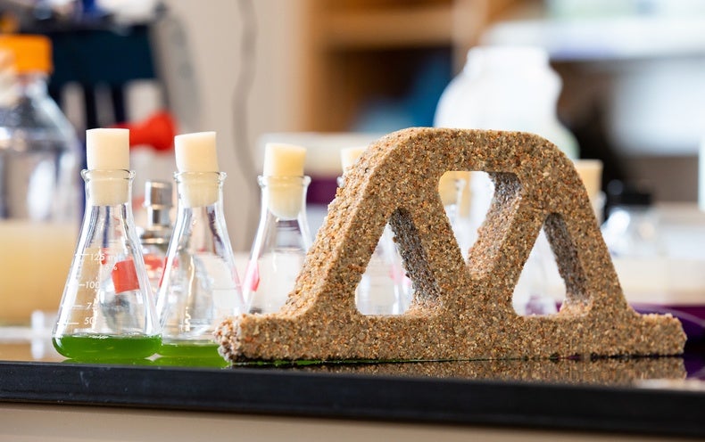 Bacteria-Filled Bricks Build Themselves - Scientific American