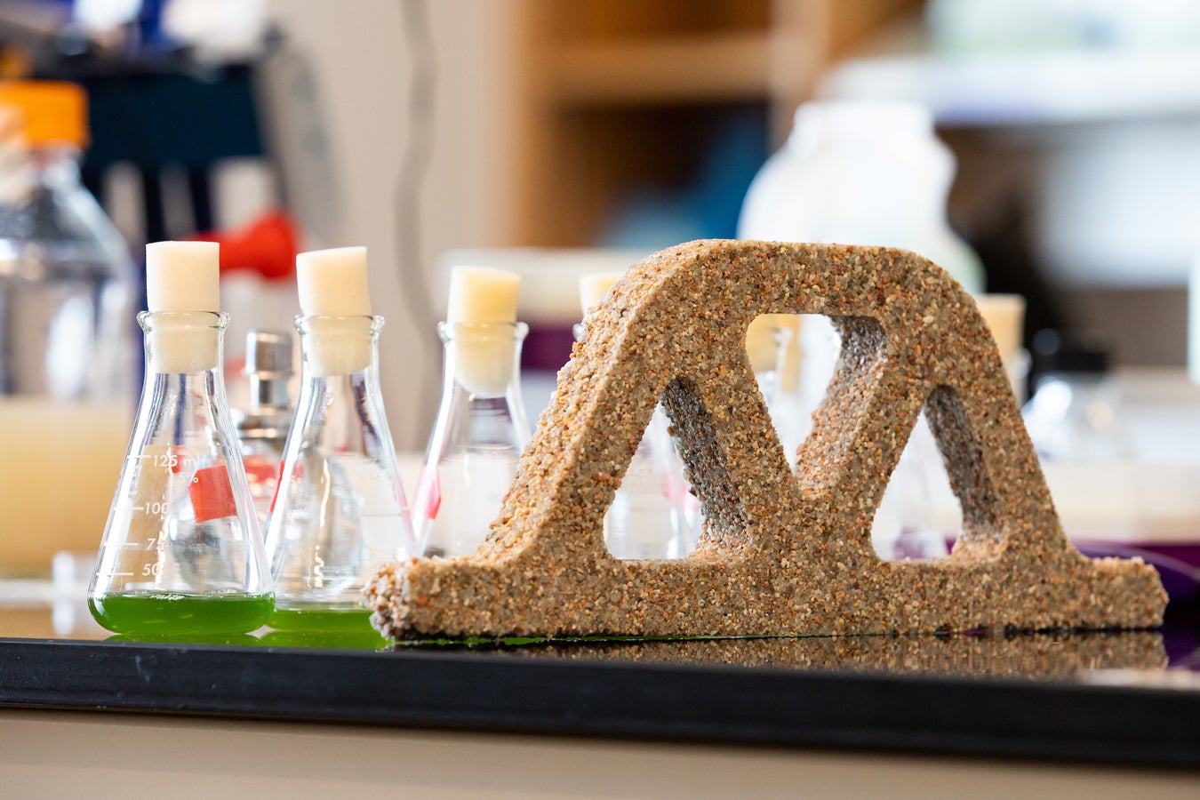 Bacteria-Filled Bricks Build Themselves | Scientific American