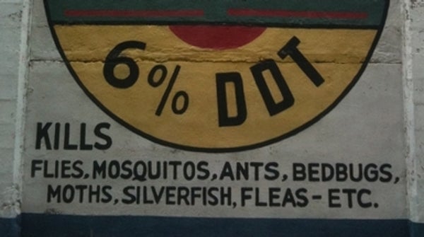 DDT Still Killing Birds in Michigan - Scientific American