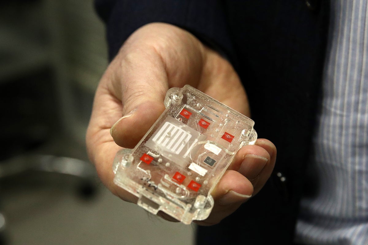 Fast, Portable Tests Come Online to Curb Coronavirus Pandemic ...