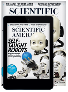 Why do cats purr? - Scientific American