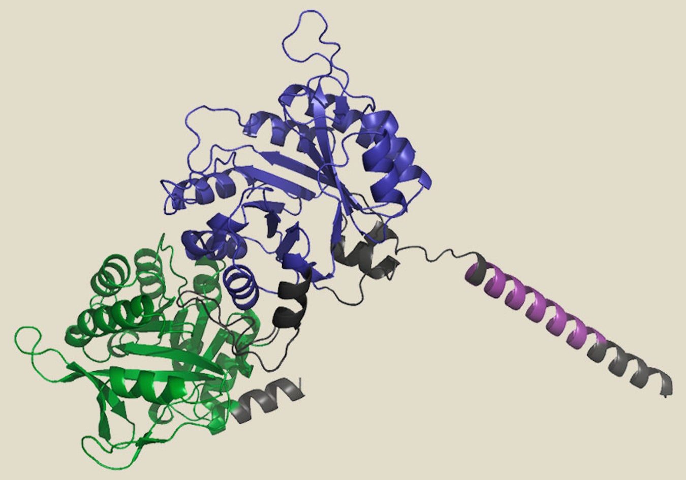 Proteins Never Seen in Nature Are Designed Using AI to Address ...