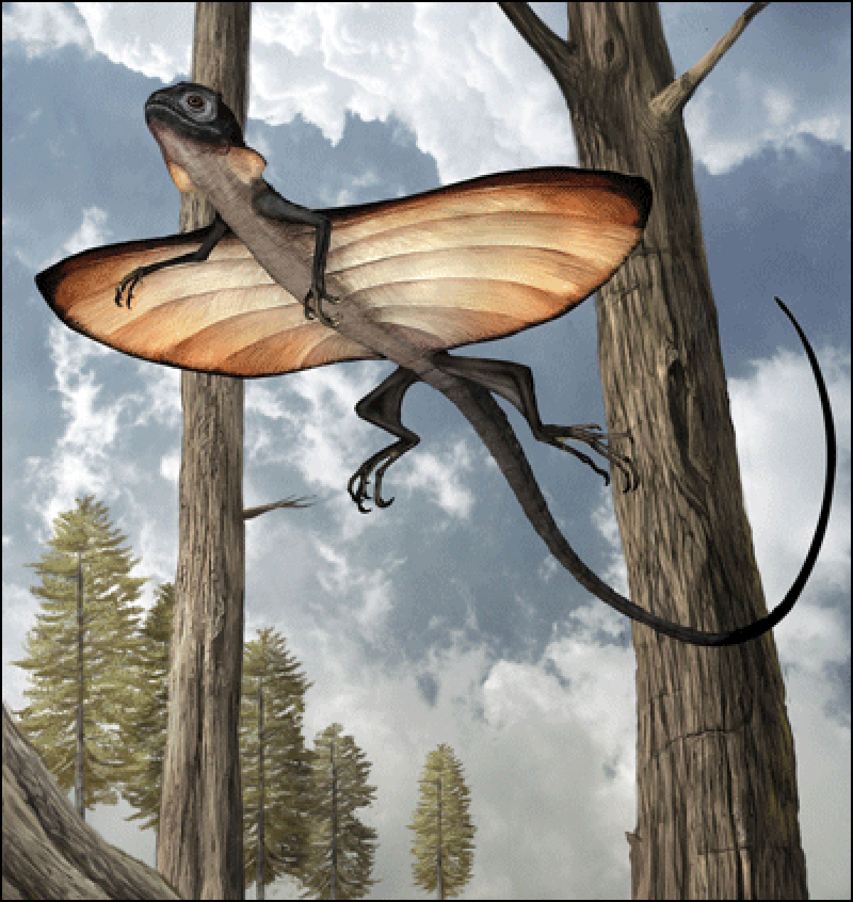 Lizard in the Sky | Scientific American