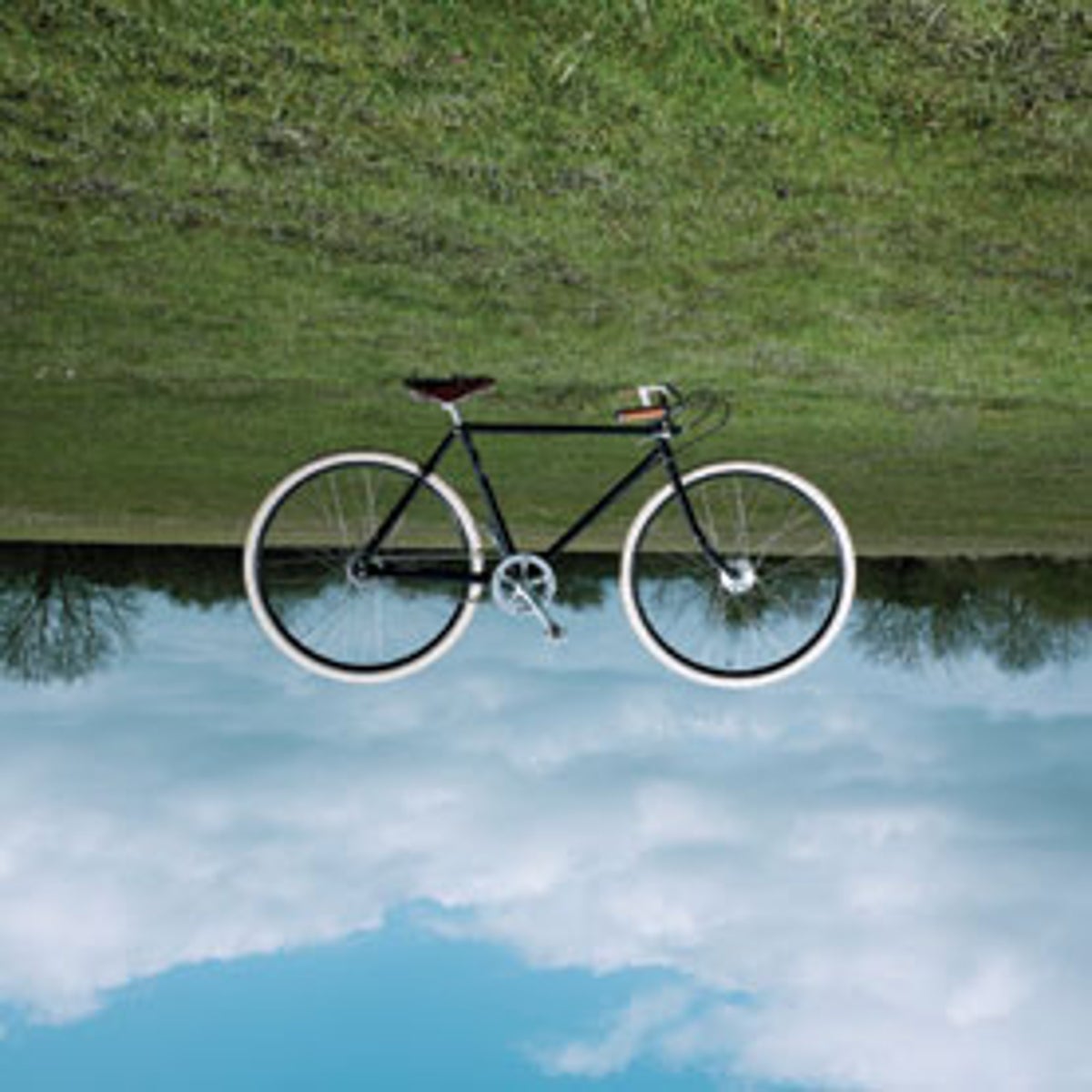 Testing for Consciousness in Machines | Scientific American