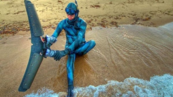 Dolphin-Inspired Man-Made Fin Works Swimmingly - Scientific American