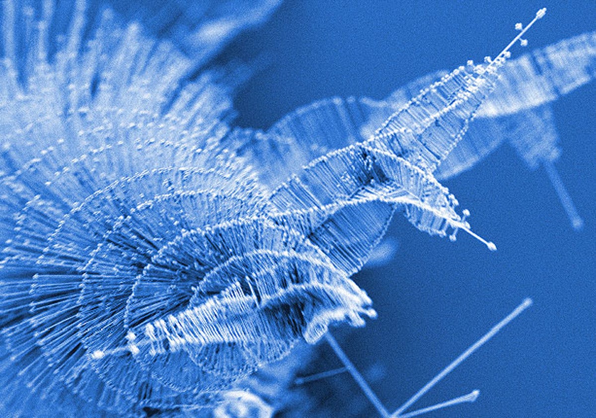 New Twist On Nanowires Scientific American