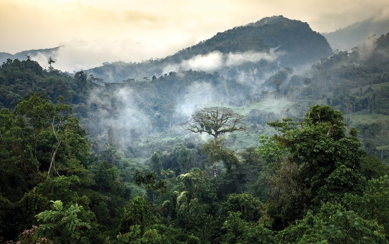 Conservation after Conflict in Colombia - Scientific American