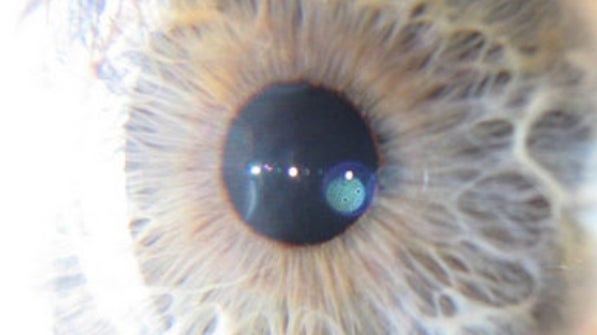 Photons Double Up to Help Us See Beyond the Visible Light Spectrum ...