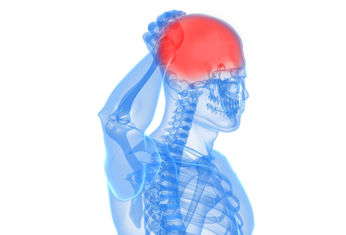 The Battle over Pain in the Brain | Scientific American