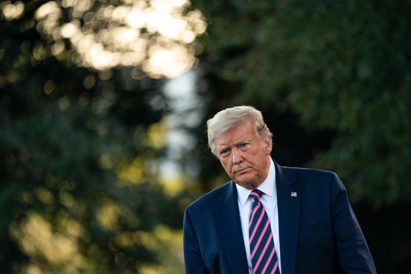 How the Immune System of Older Adults Like Trump Weakens with Age ...